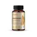 Jiva Ayurveda Shatavari health benefits