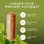 Jiva Botanicals shilajit for vitality