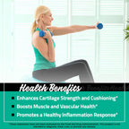 joint health glucosamine chondroitin MSM benefits