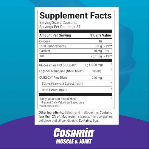 joint health supplement for active lifestyles