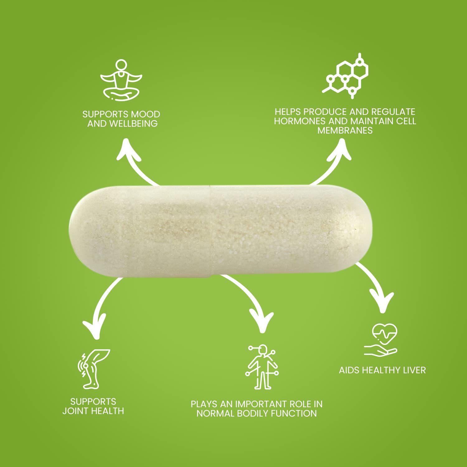 joint health support with Sam-E