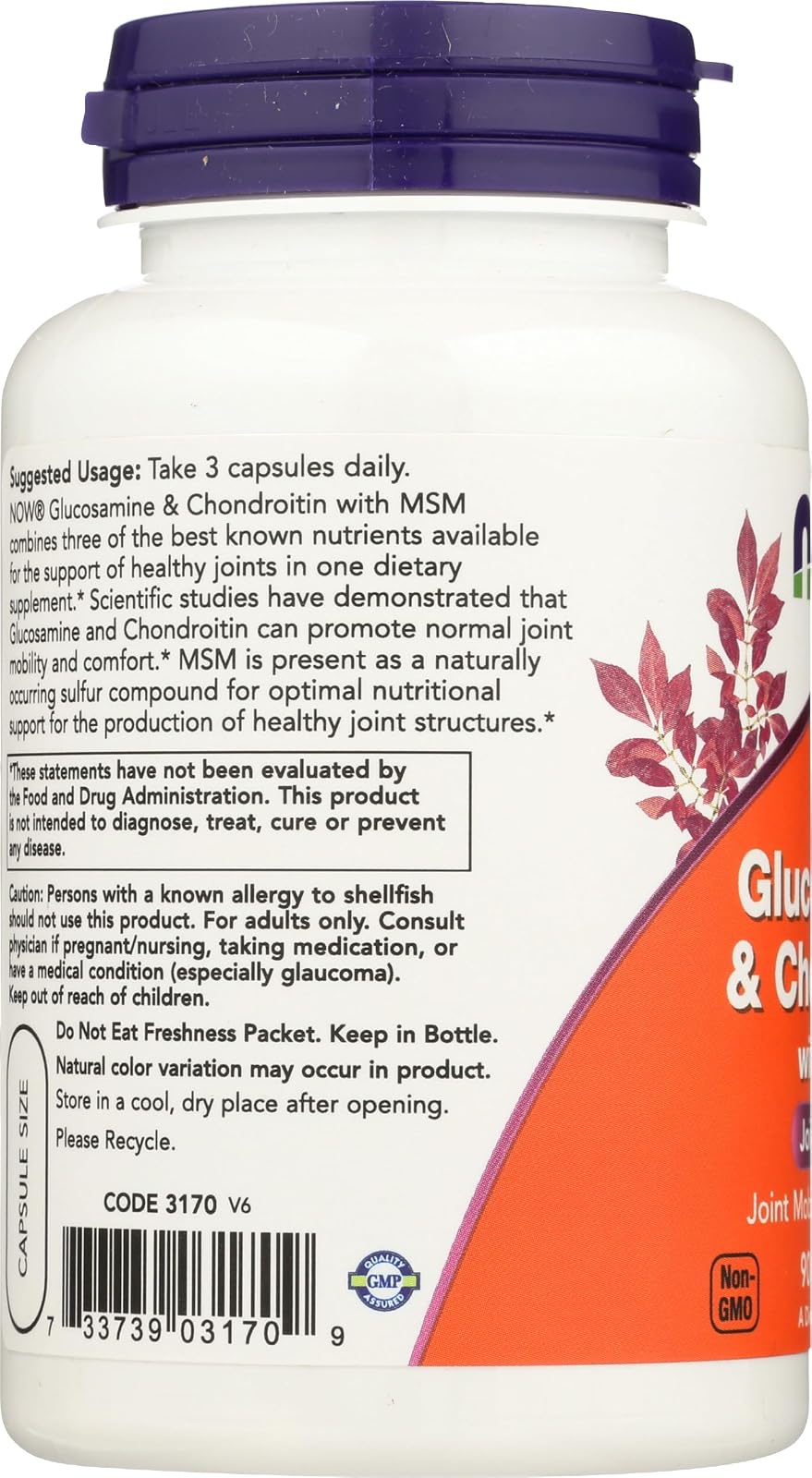 joint pain relief with MSM