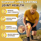 joint pain supplement for mobility