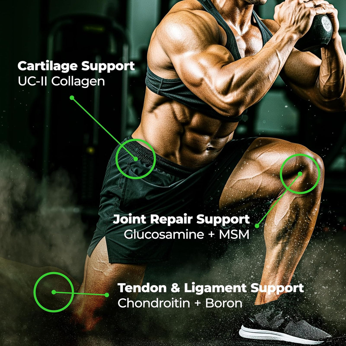 joint repair supplement with MSM