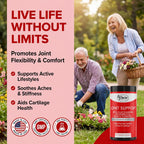 joint support glucosamine chondroitin msm
