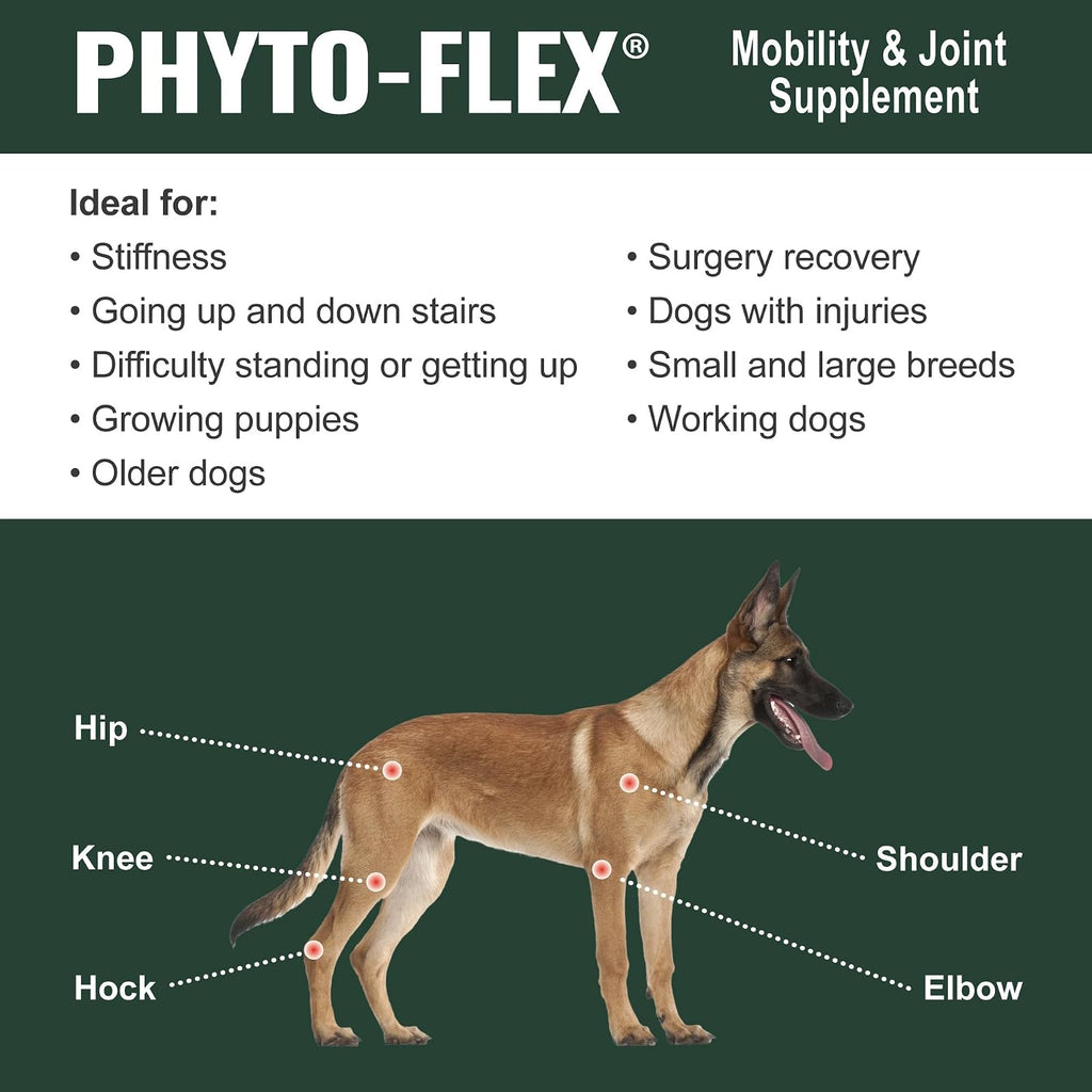Joint support supplement for dogs