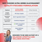 joint support supplement for seniors
