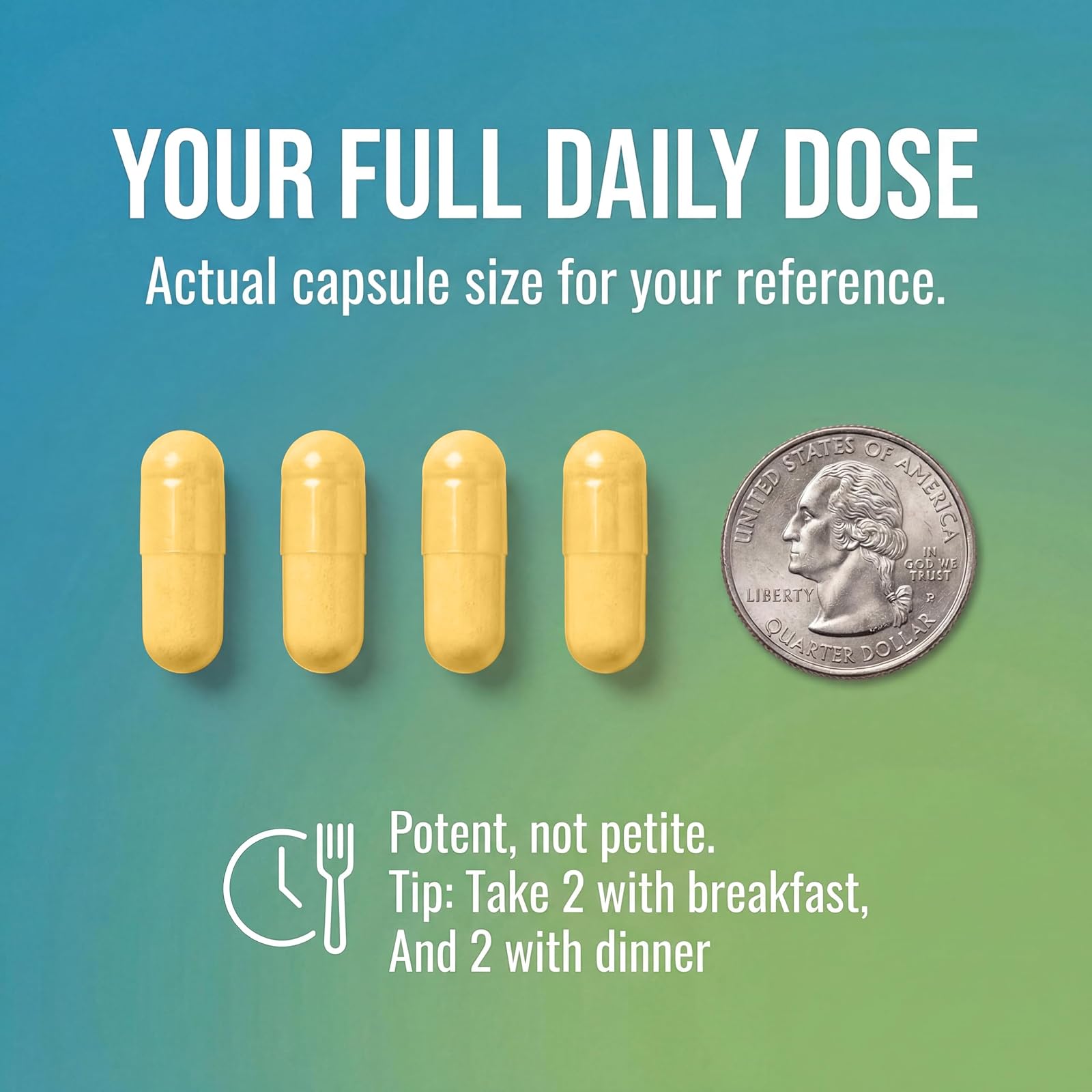 joint support supplement for seniors