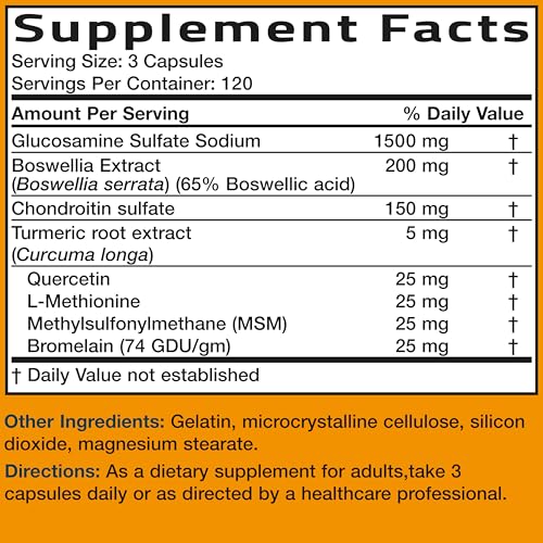 joint support with glucosamine chondroitin MSM