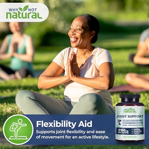 joint support with glucosamine chondroitin