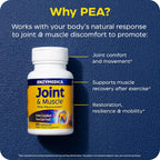 Joint support with Pea Phytosome