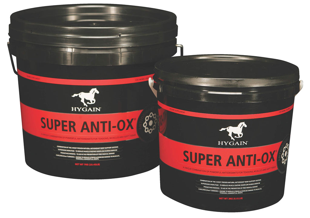 joint support with phytosomal curcumin