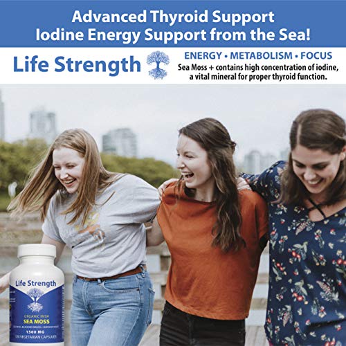 joint support with sea moss and bladderwrack
