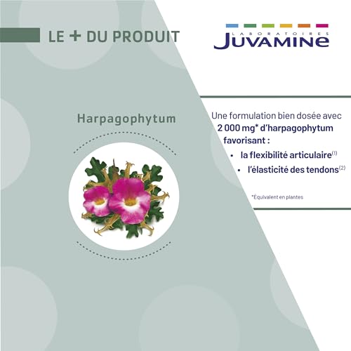 joint support with turmeric extract