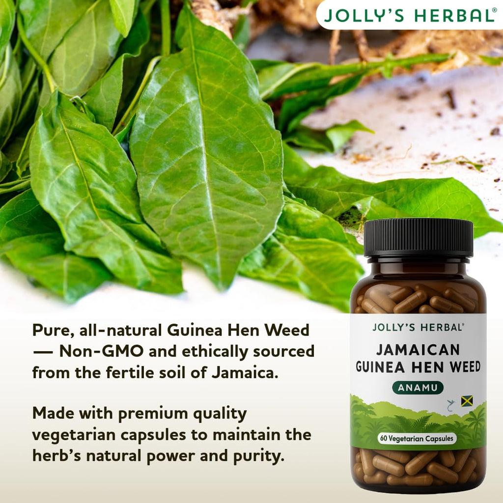 Jolly's Herbal Anamu root benefits