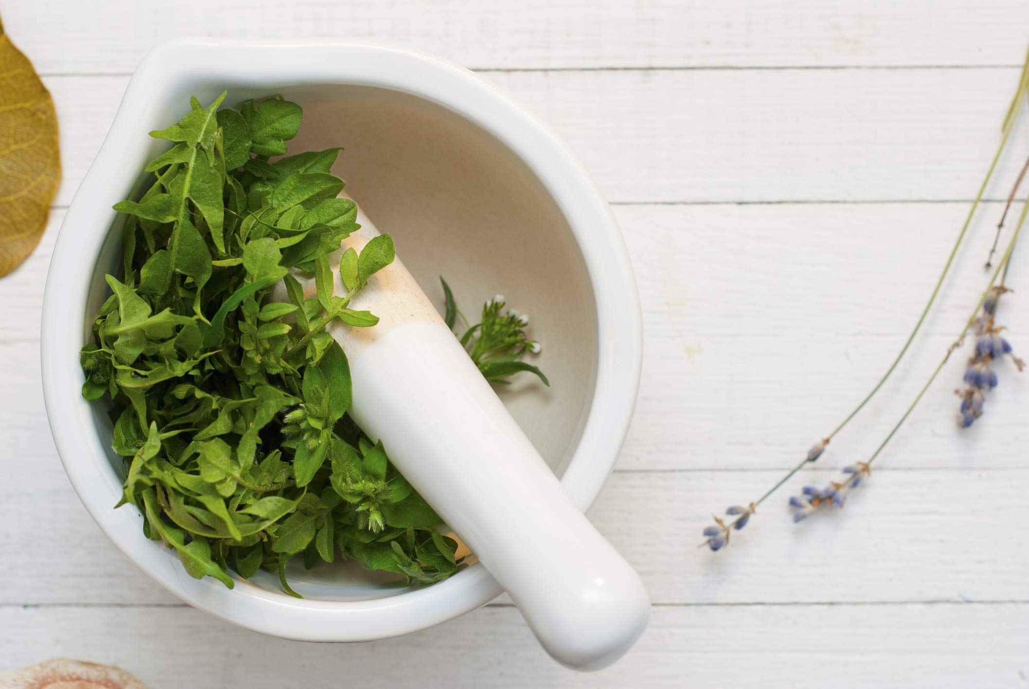 jou herbal supplements chickweed benefits