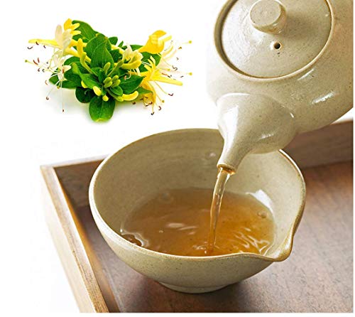 Jou herbal supplements for holistic health