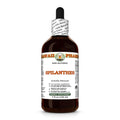 jou herbal supplements spilanthes extract
