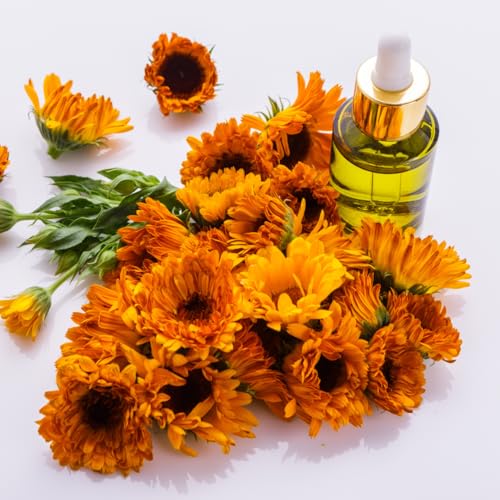 Jovvily arnica flowers for soothing effects