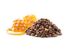 Jovvily propolis powder for immunity