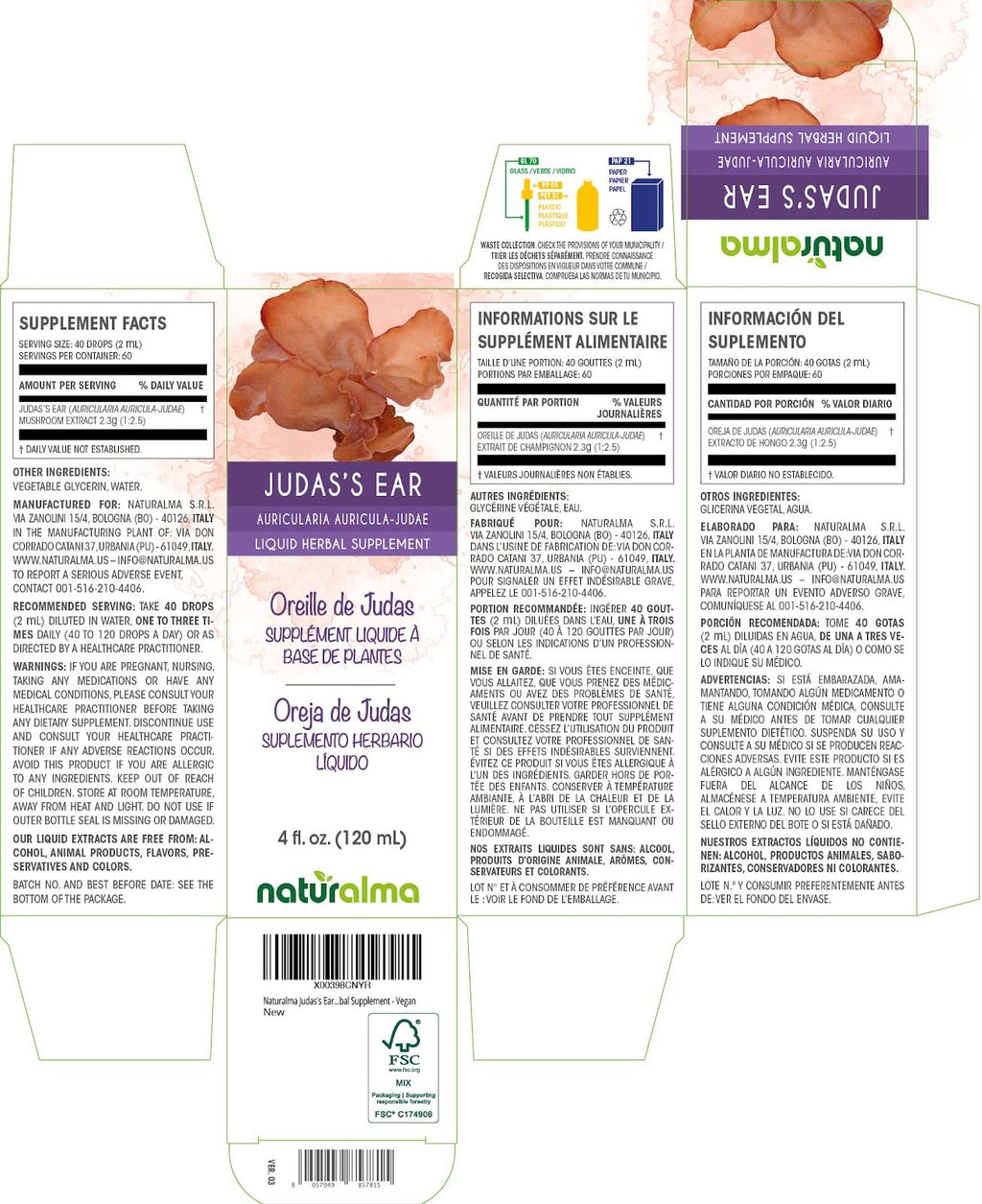 Judas's Ear mushroom supplement benefits