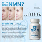 JulyDeer NMN supports metabolism
