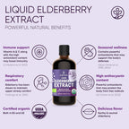 Jungle Powders elderberry syrup benefits