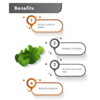 Just Jaivik Gotu Kola for skin health