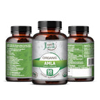 Just Jaivik organic amla tablets