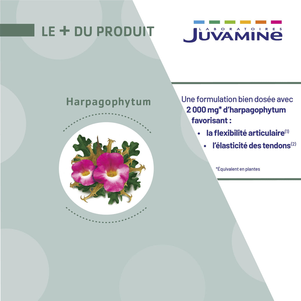 Juvamine turmeric for active lifestyle