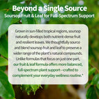JuvaNutra soursop bitters benefits