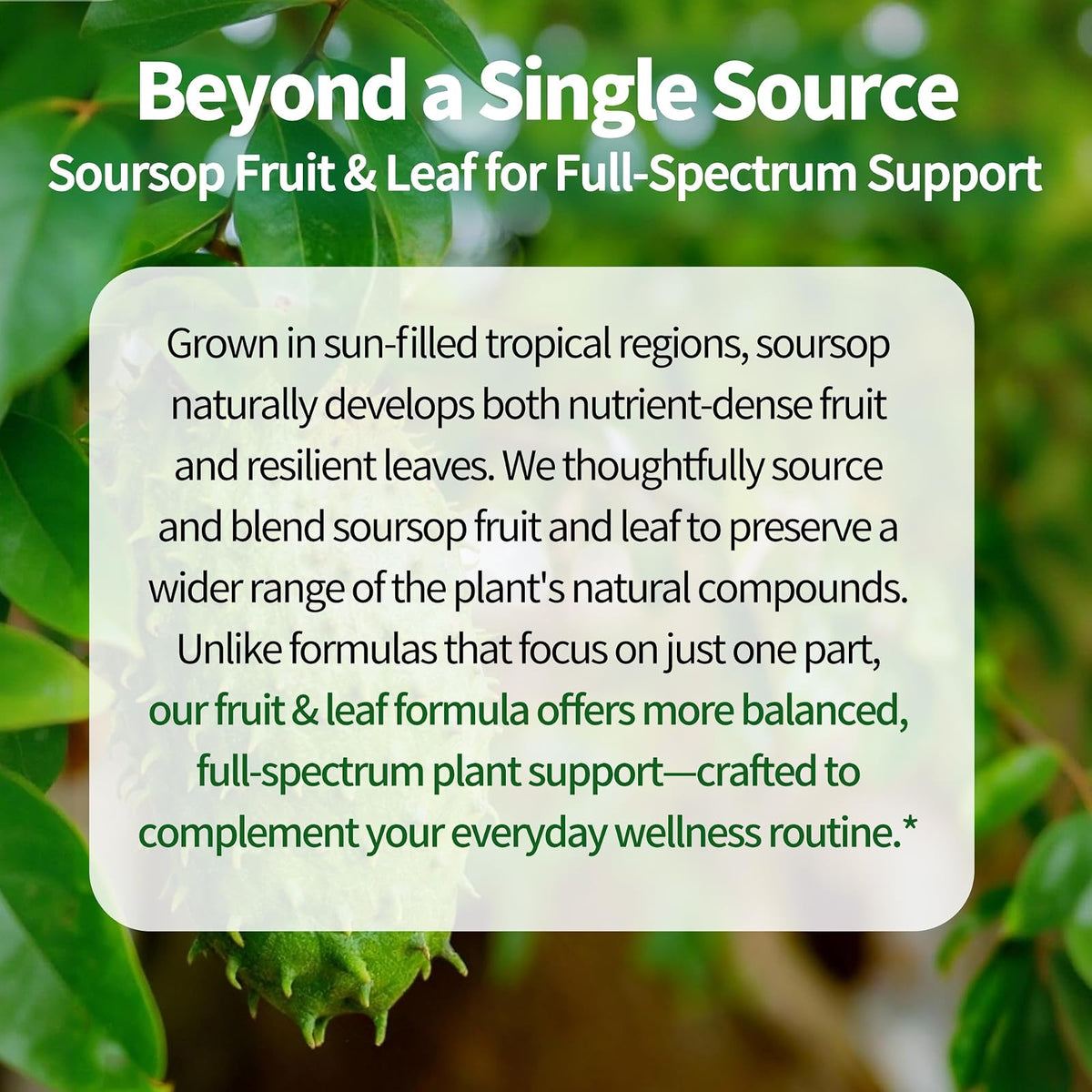 JuvaNutra soursop bitters benefits