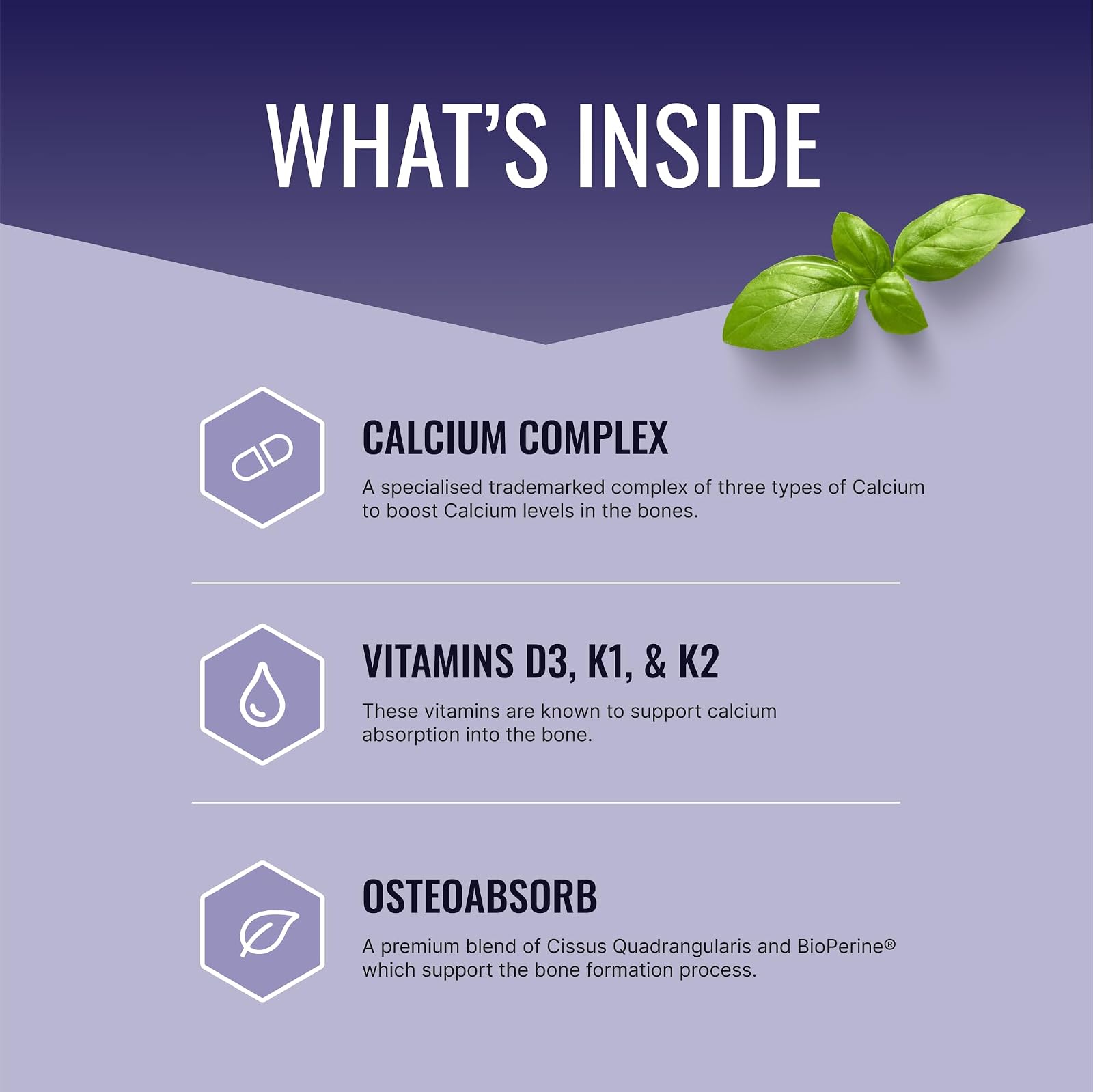 K2 and magnesium for bone health