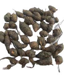 Kaba Sura Kudineer health benefits