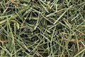 Kadu Chiraita health benefits