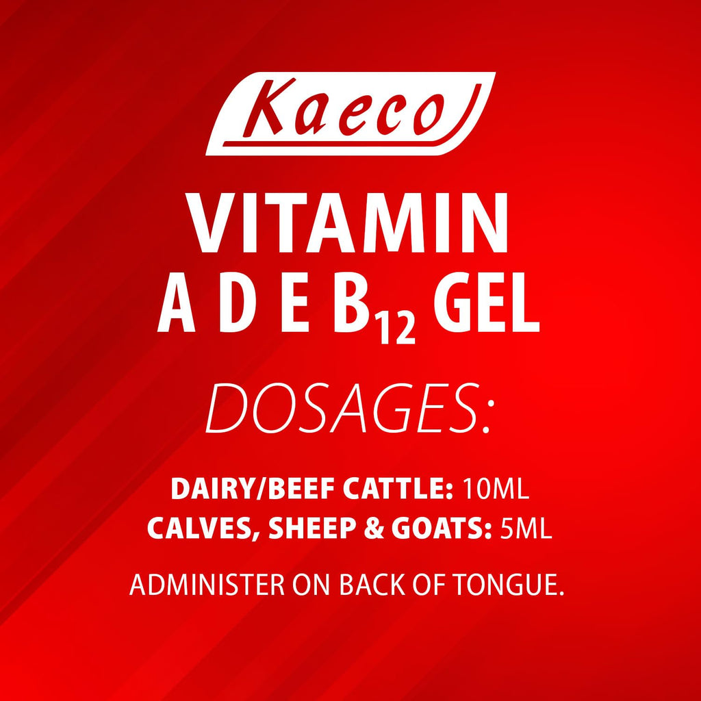 Kaeco B12 gel for immune support