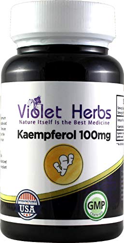 Kaempferol herbal supplement capsules