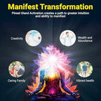 Kailash Herbals herbal remedy capsules