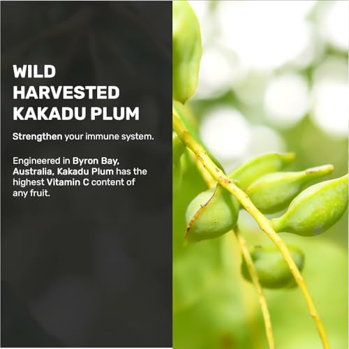 Kakadu plum and mushroom synergy