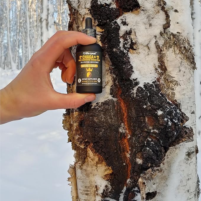 Kakadu plum infused mushroom extract