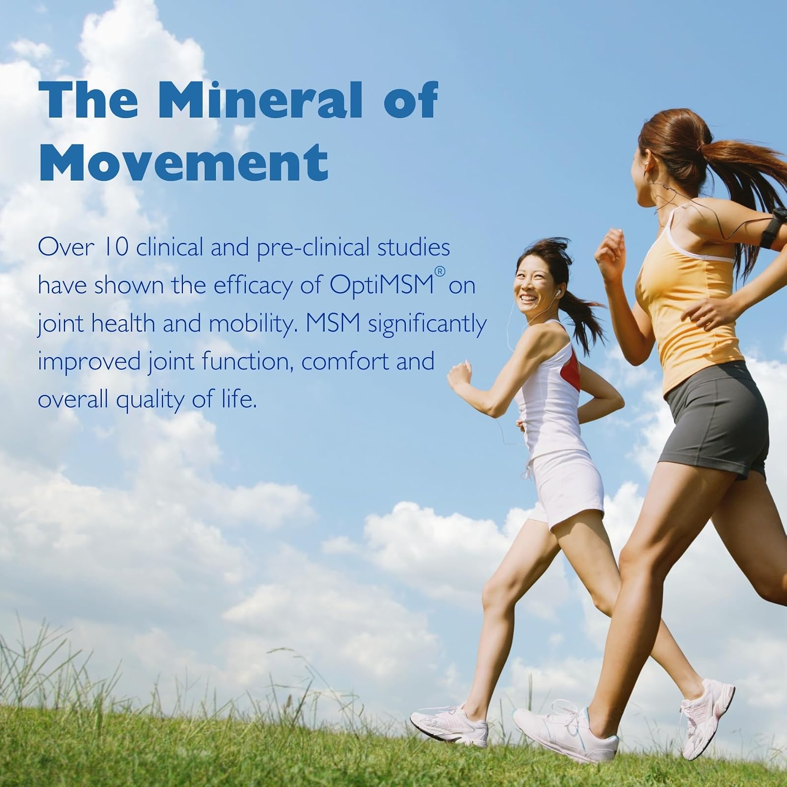KALA HEALTH msm joint support