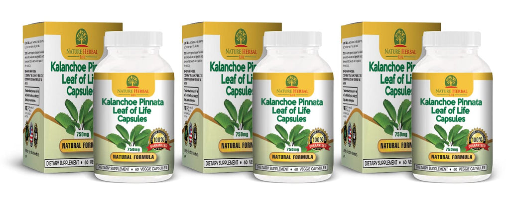 Kalanchoe Pinnata blended vitamin capsules