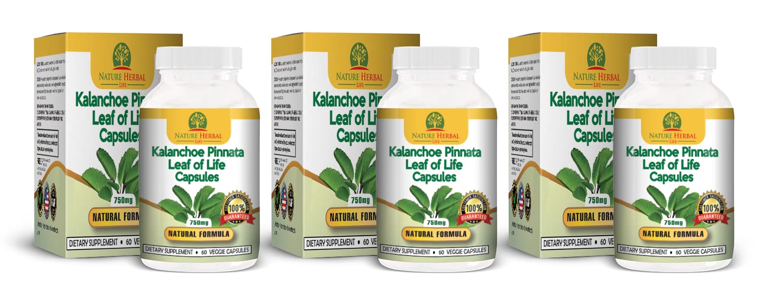 Kalanchoe Pinnata blended vitamin capsules