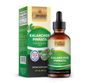 Kalanchoe Pinnata dried leaf extract