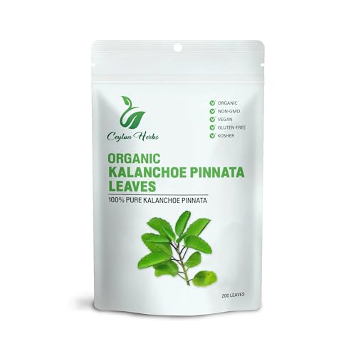 Kalanchoe Pinnata for digestive health