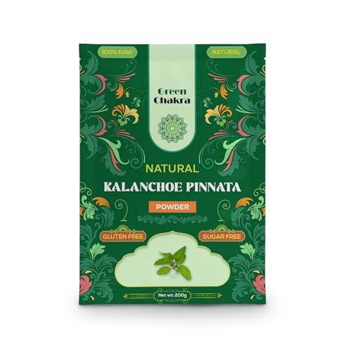 Kalanchoe Pinnata for herbal remedies