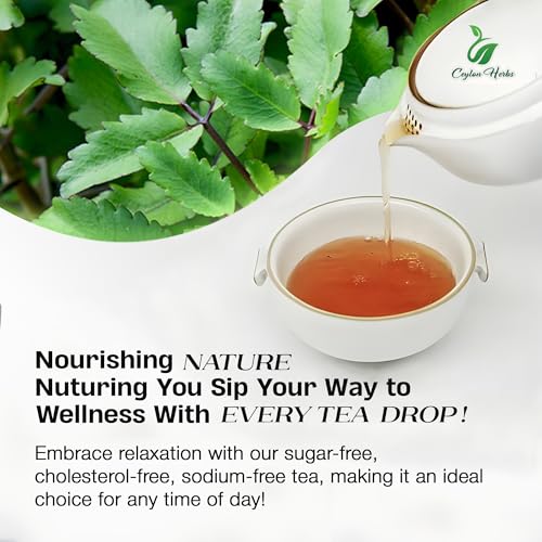 Kalanchoe Pinnata for holistic healing