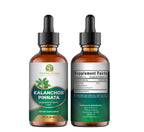 Kalanchoe Pinnata for immune support