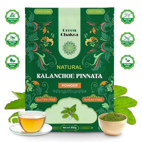 Kalanchoe Pinnata for immune support