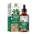 Kalanchoe Pinnata glycerite extract benefits